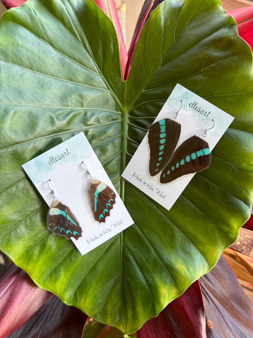 Graphium Milon - Real Butterfly Wing Laminated Earrings - Jewelry ...