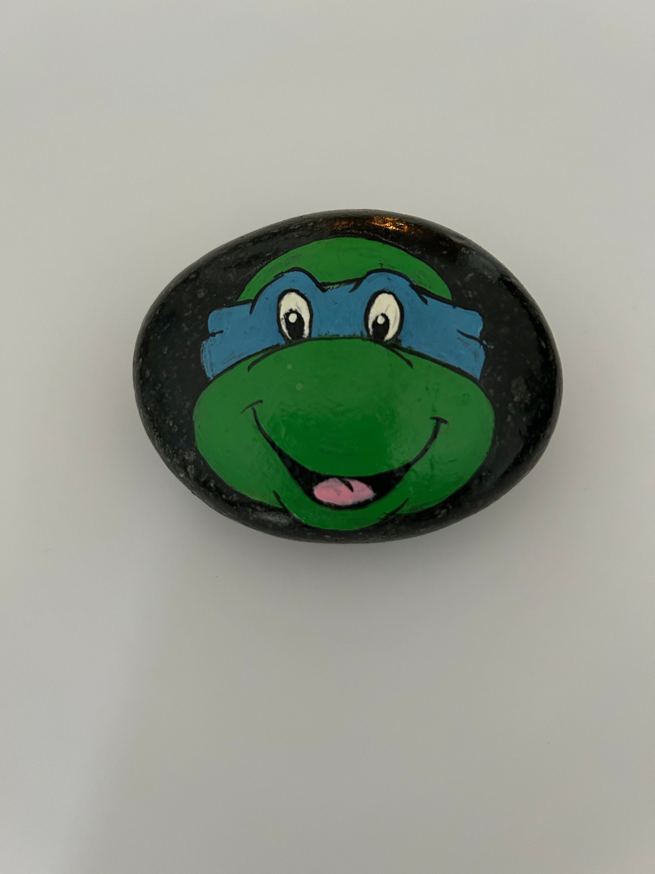 Hand Painted Teenage Mutant Ninja Turtles Rocks. Comes With All 4. - Etsy