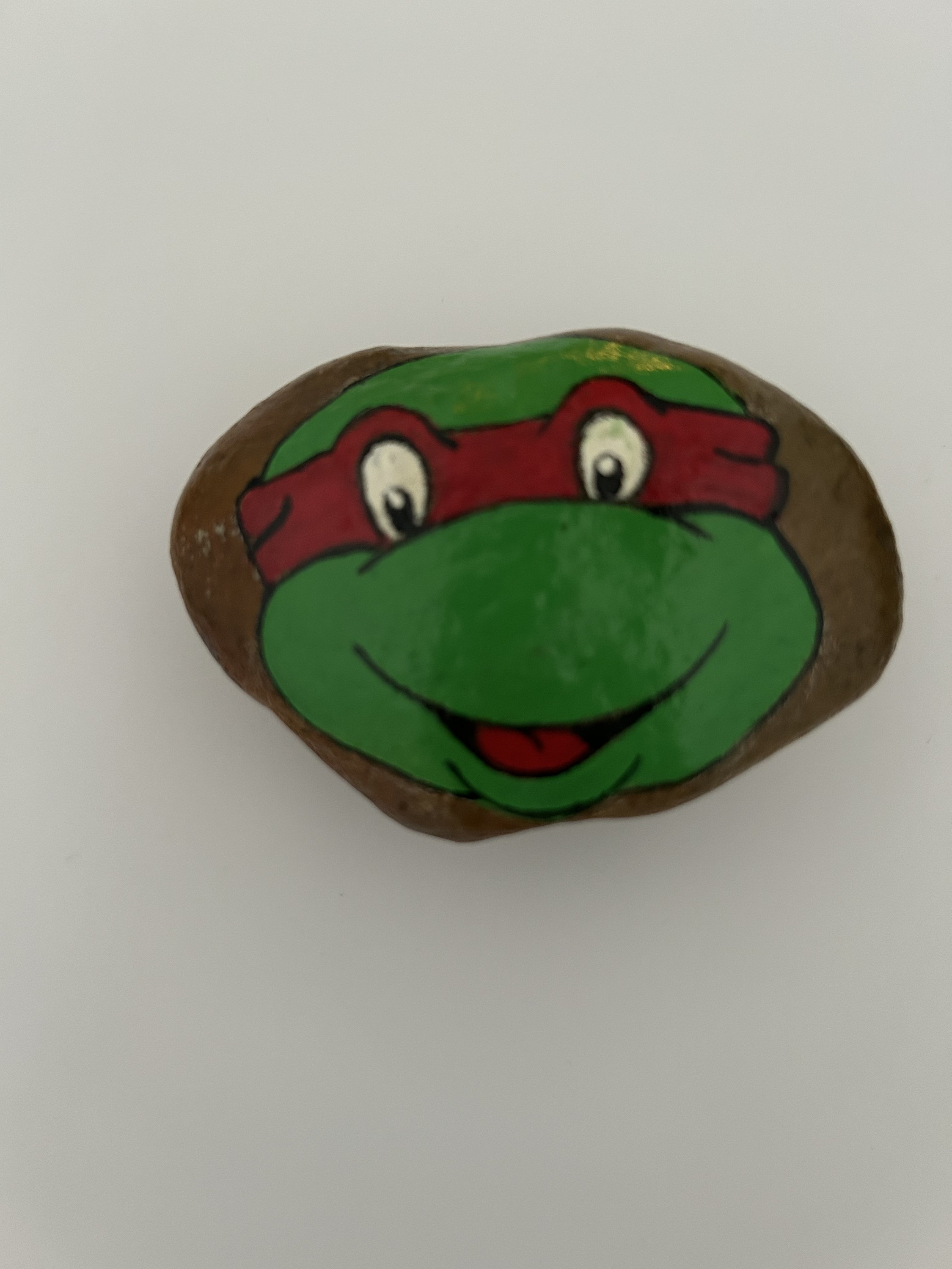 Hand Painted Teenage Mutant Ninja Turtles Rocks. Comes With All 4. - Etsy