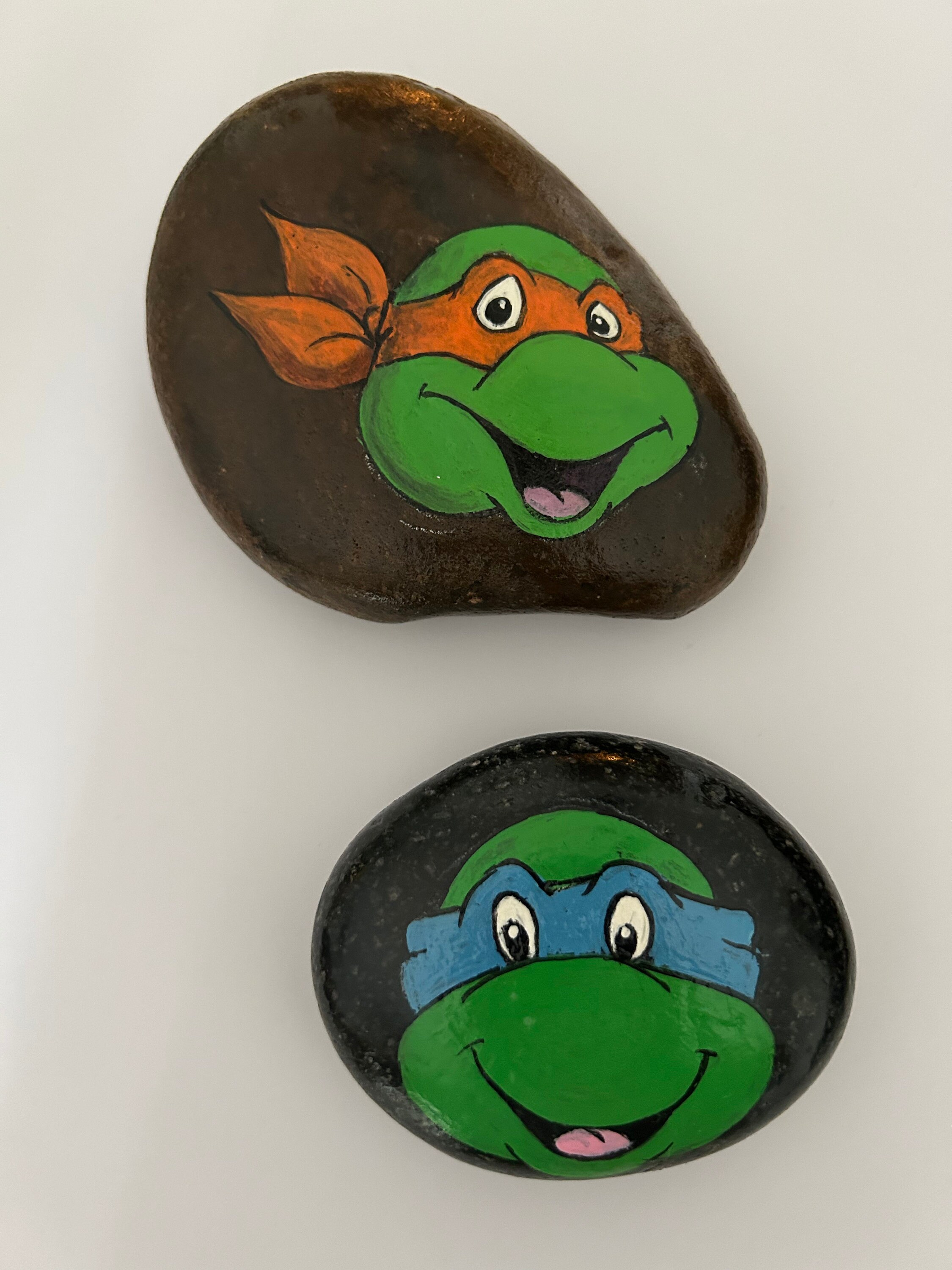 Hand Painted Teenage Mutant Ninja Turtles Rocks. Comes With - Etsy