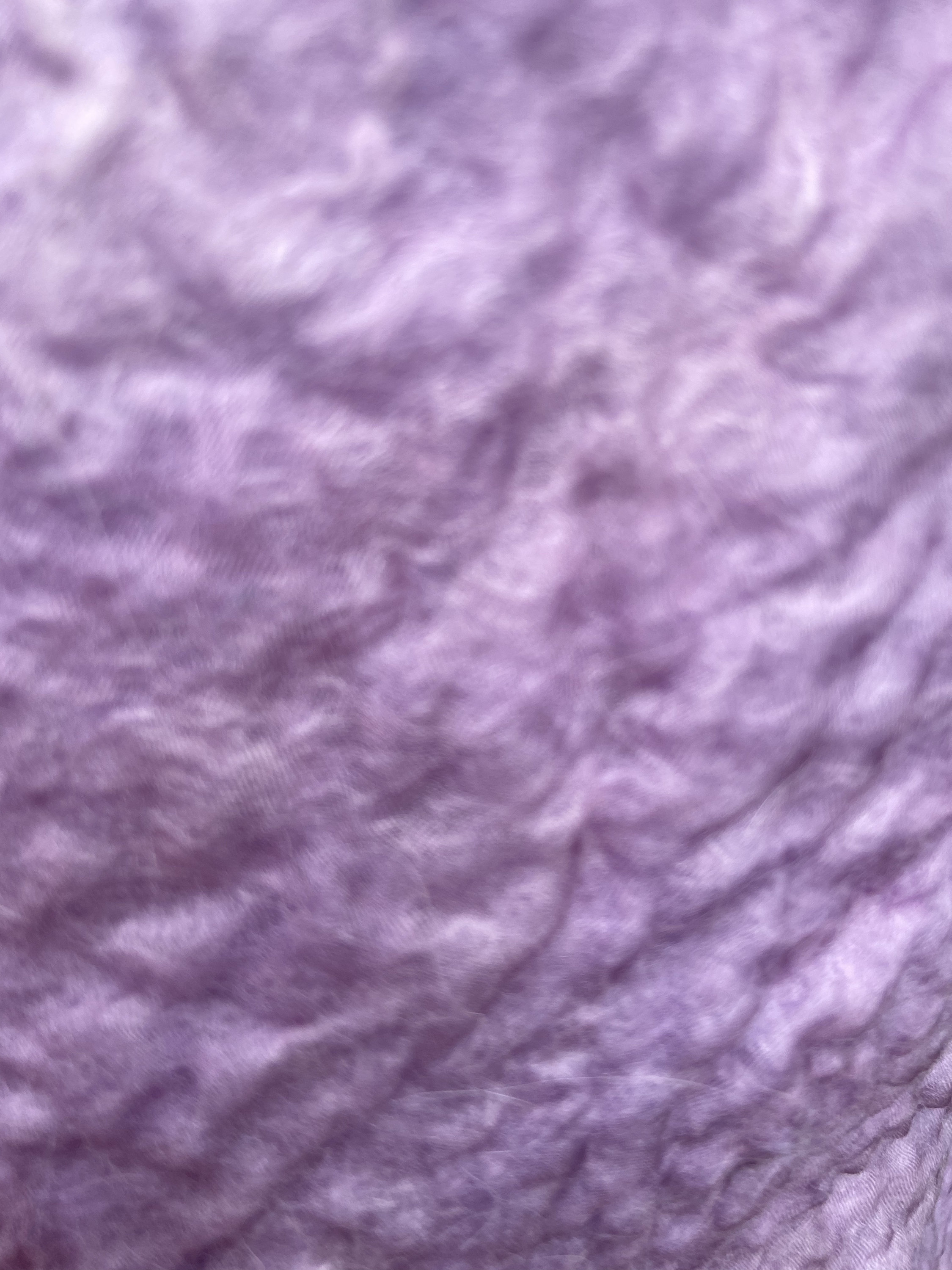 Lavender Field Felted Shawl - Etsy