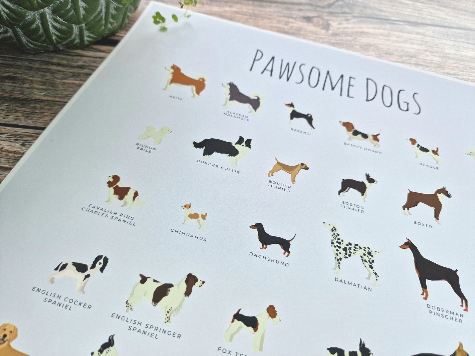 Pawsome Dog Breeds Print, Gifts for Dog Lover, Infographic Dog Breed ...