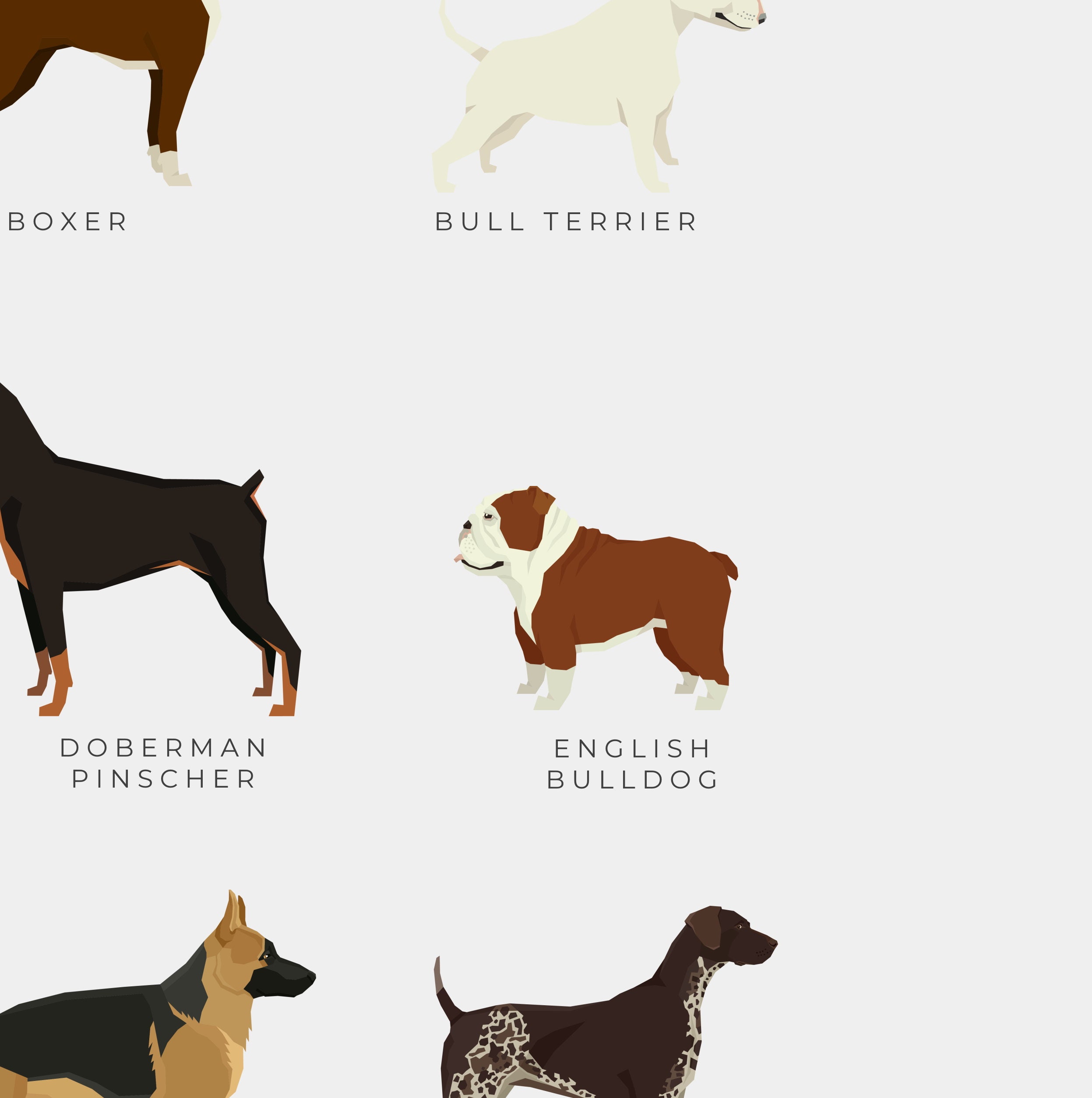 Pawsome Dog Breeds Print Gifts for Dog Lover Infographic Dog - Etsy UK