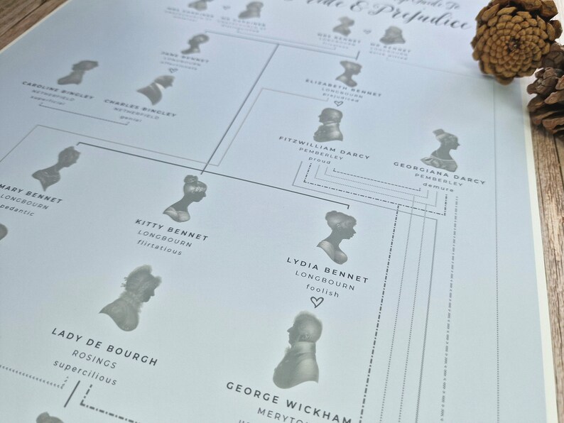 A4 Pride and Prejudice Infographic Print - Jane Austen Literary ...