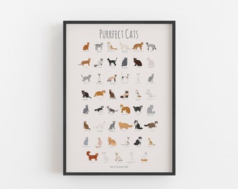 Cat Infographic Poster - Etsy
