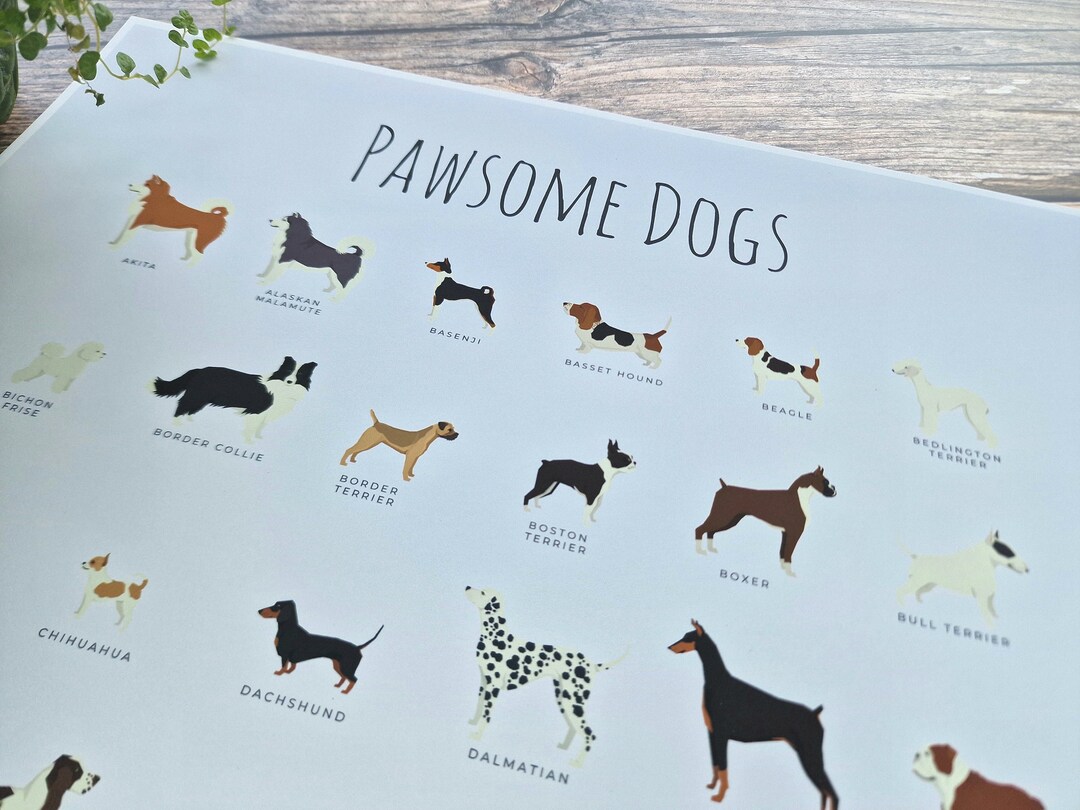 Pawsome Dog Breeds Print, Gifts for Dog Lover, Infographic Dog Breed ...