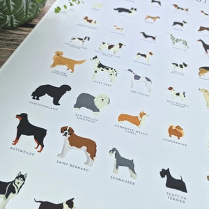 Pawsome Dog Breeds Print, Gifts for Dog Lover, Infographic Dog Breed ...