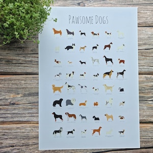 Pawsome Dog Breeds Print, Gifts for Dog Lover, Infographic Dog Breed ...