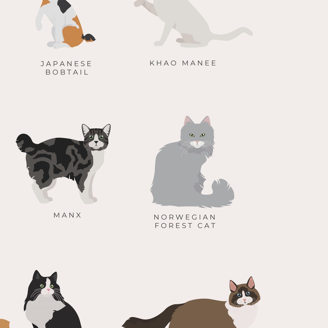 Purrfect Cat Breeds Print Gifts For Cat Lover Infographic | Etsy