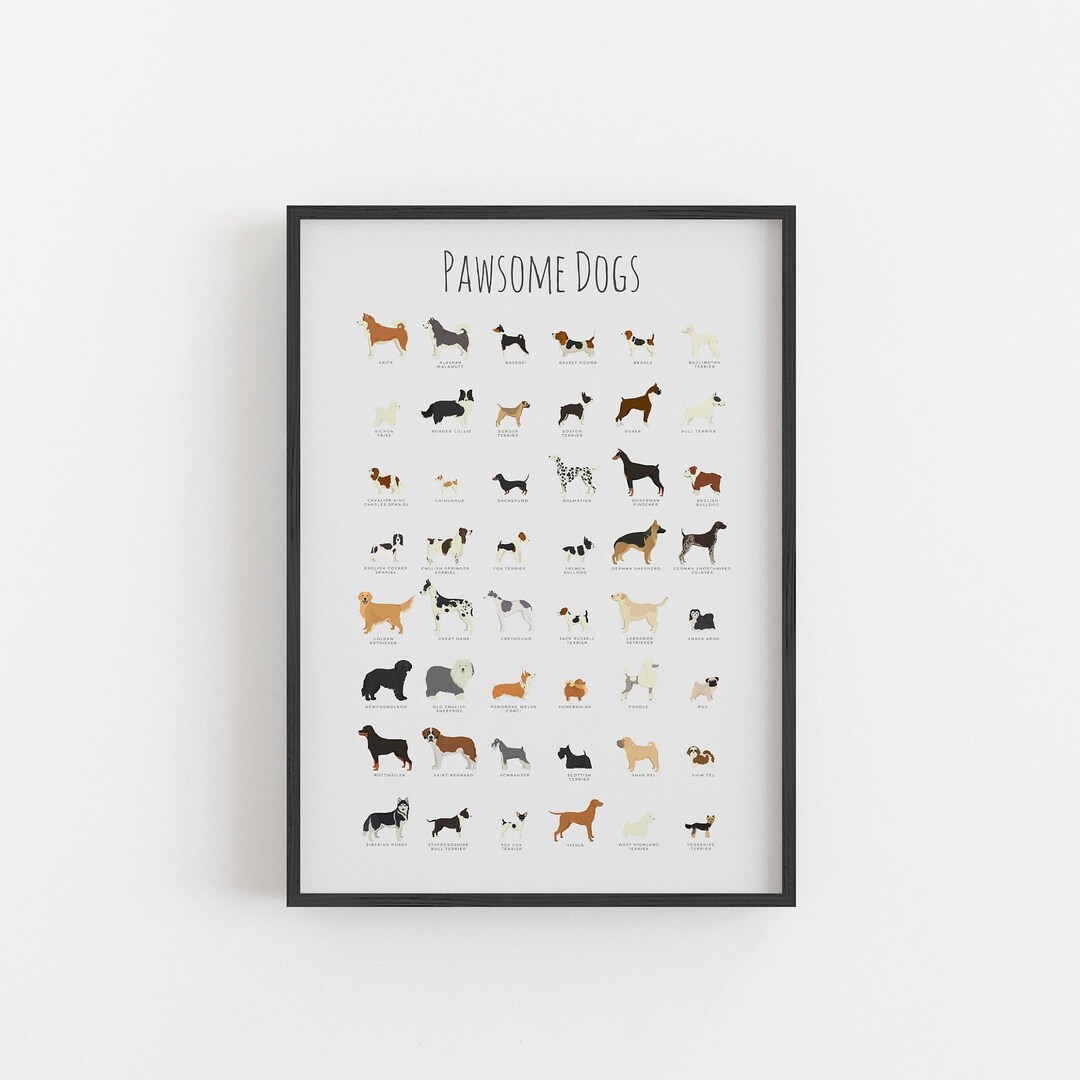 Pawsome Dog Breeds Print Gifts for Dog Lover Infographic Dog - Etsy UK