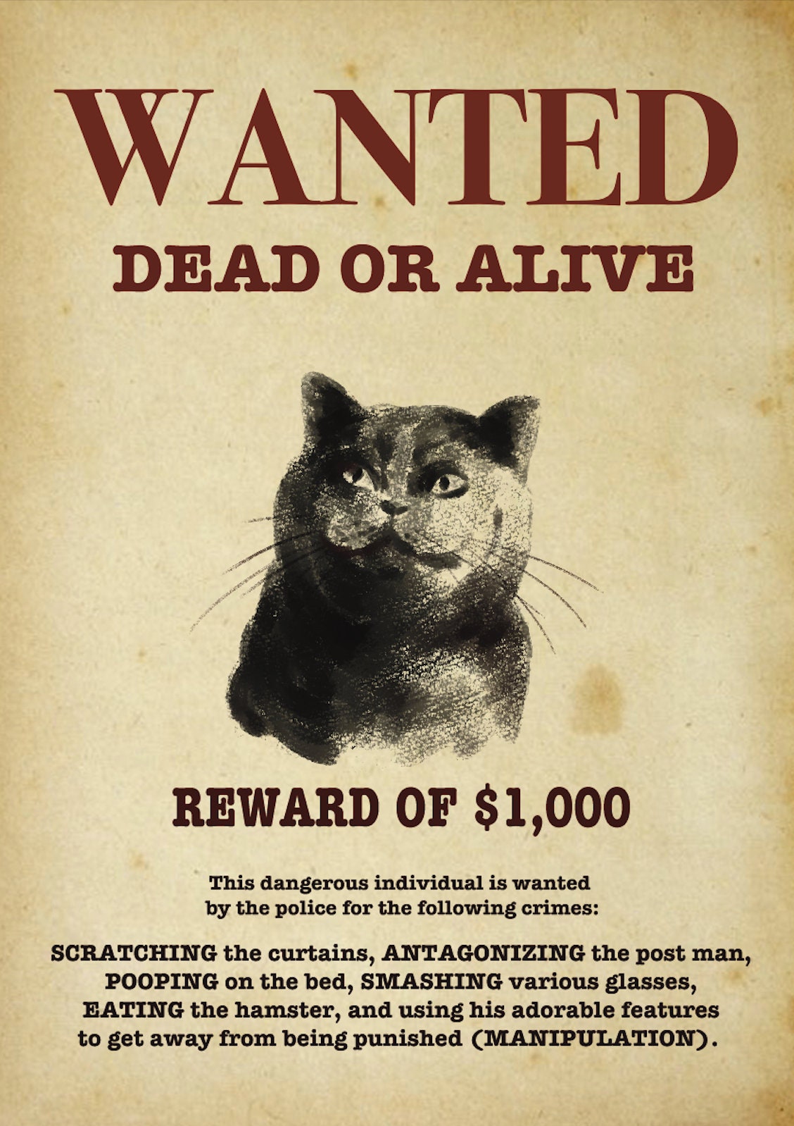 Cat Wanted Poster British Shorthair Cat Art Digital Wanted | Etsy