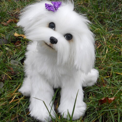 A Doggy is the Maltese Stuffed. Toys Handmade. Toys Dog OOAK. - Etsy