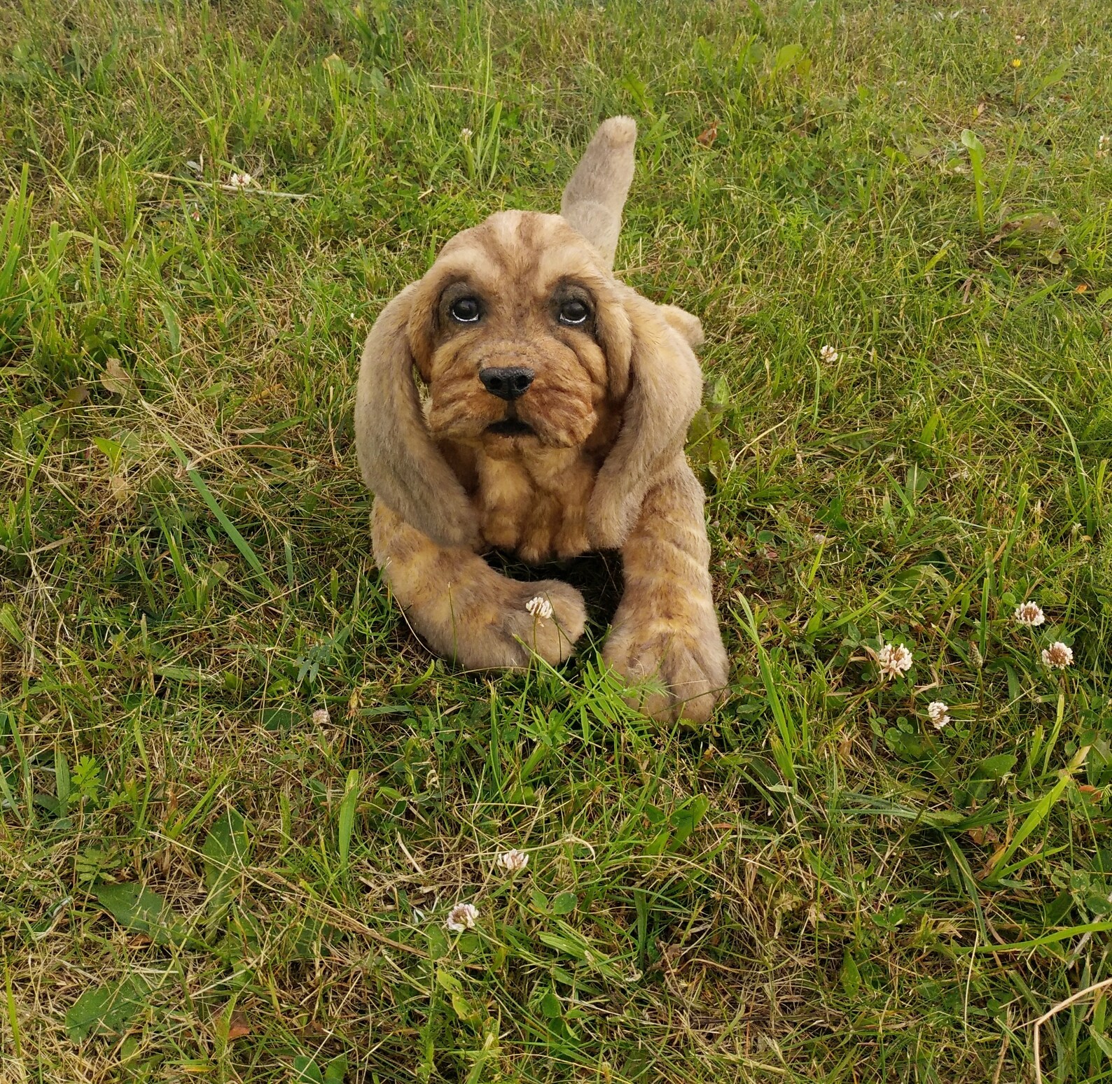 Bloodhound. Toys Handmade. Realistic Stuffed Dog OOAK Kawaii - Etsy