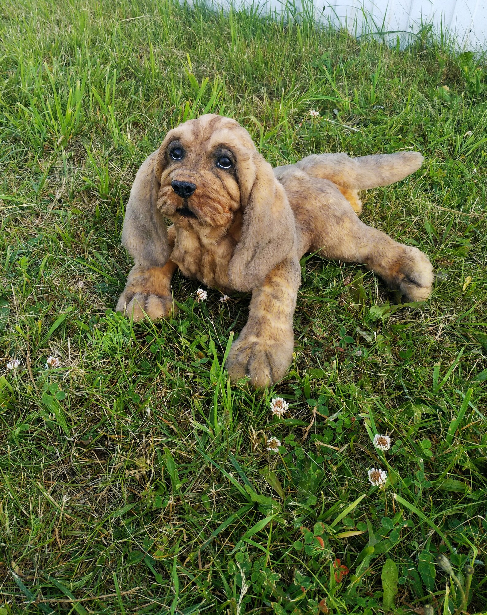 Bloodhound. Toys Handmade. Realistic Stuffed Dog OOAK Kawaii - Etsy