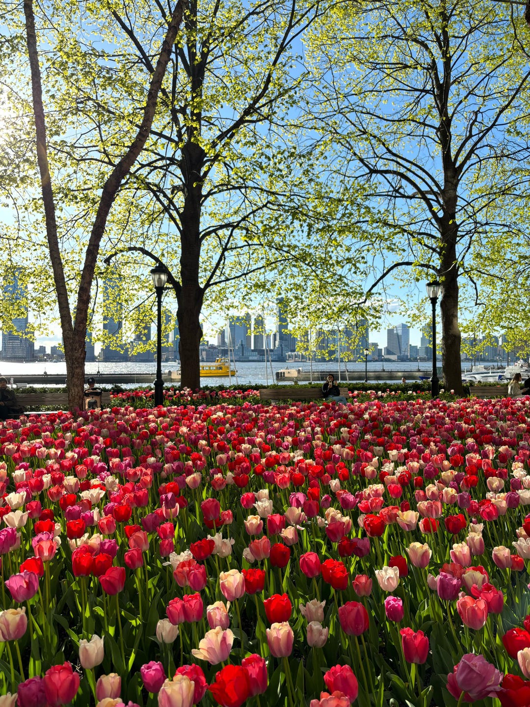 New York City Print, Spring in NYC - Etsy