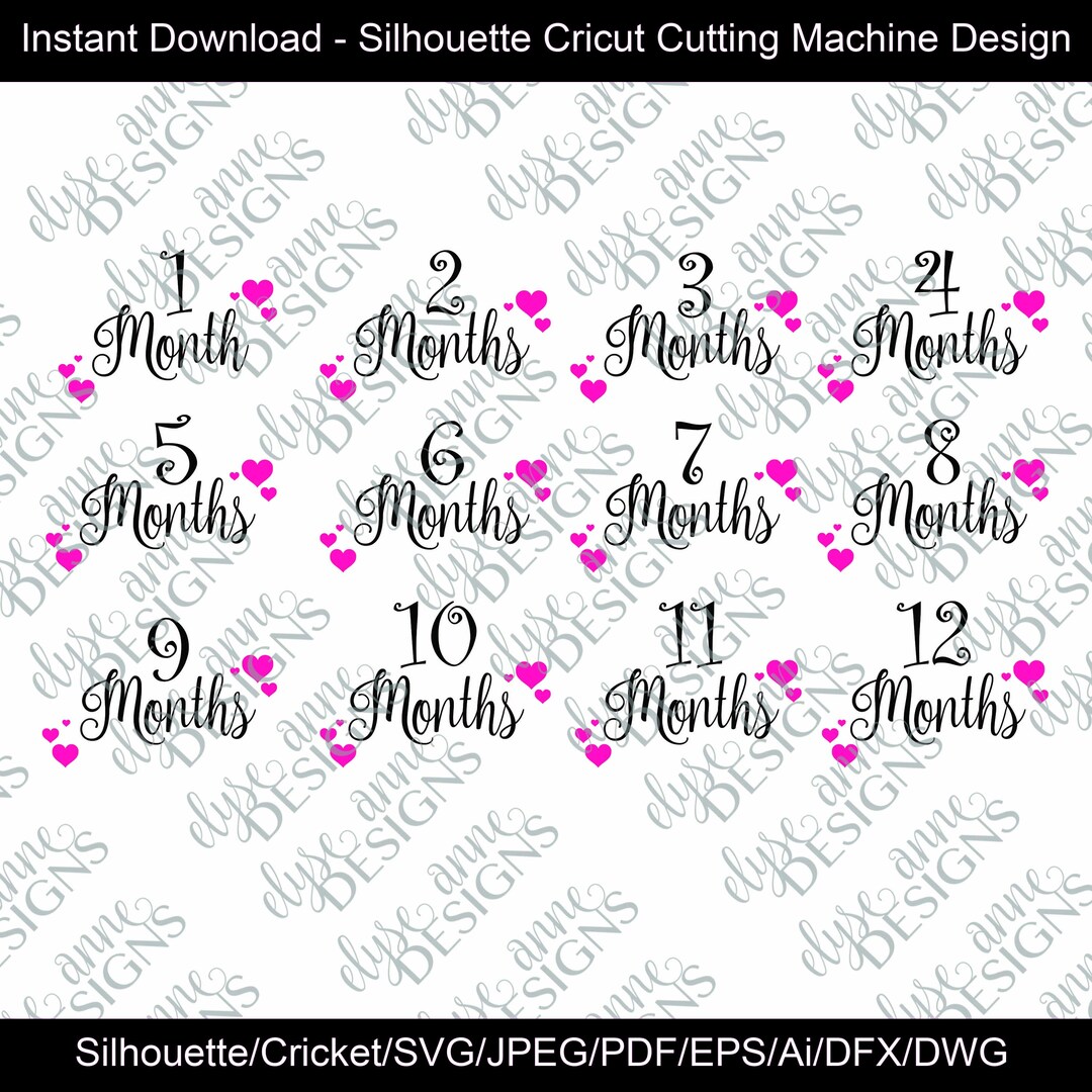 SVG/DFX Instant Download: Heart Theme Baby Monthly Photo - 12 Month Set ...