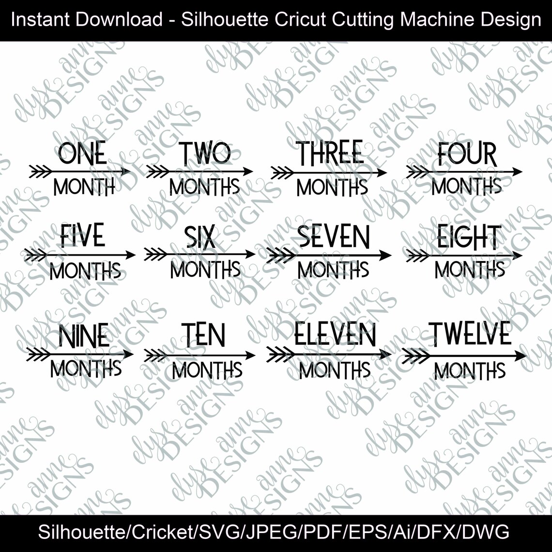 SVG/DFX Instant Download: Arrow Theme Baby Monthly Photo 12 - Etsy