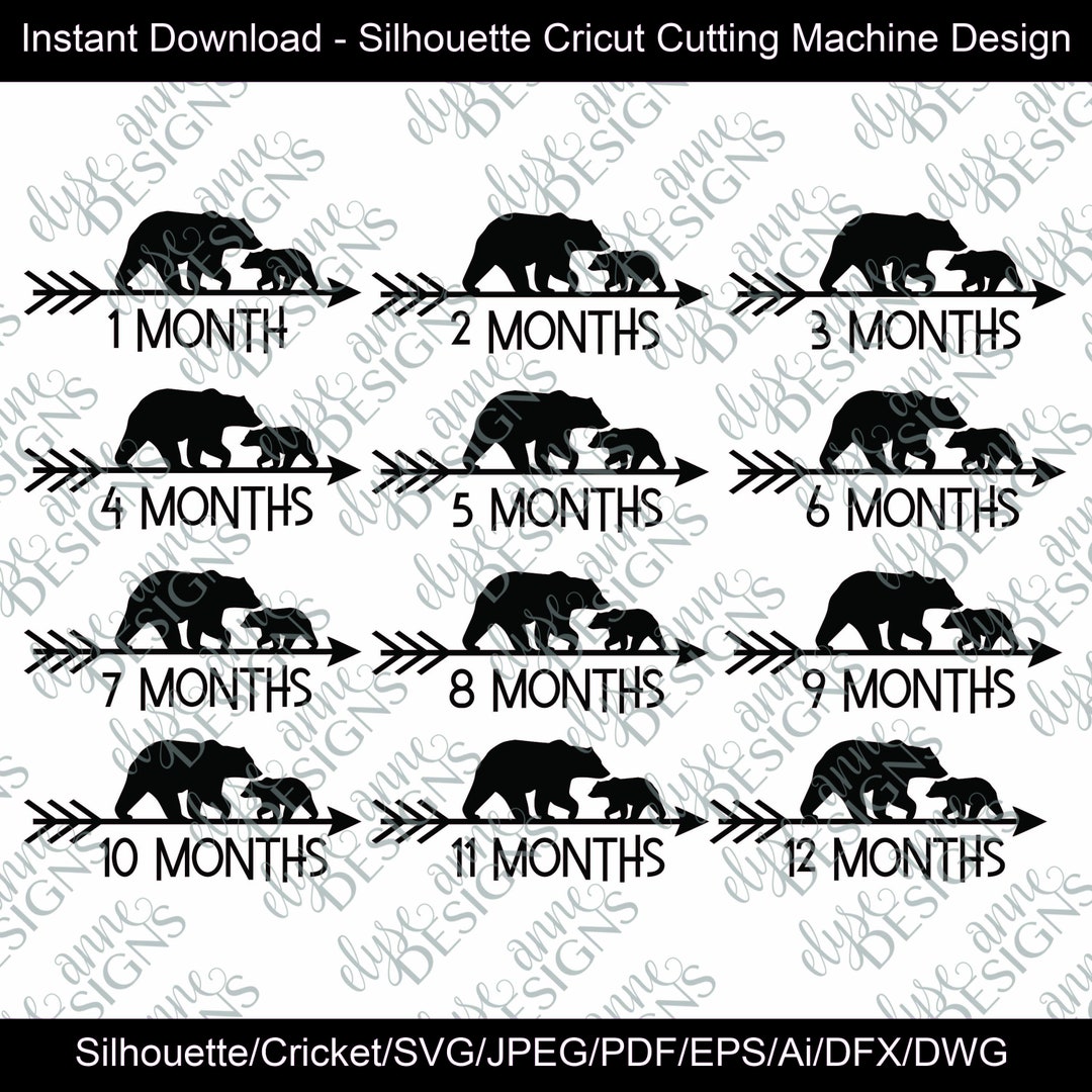 SVG/DFX Instant Download: Bear Theme Baby Monthly Photo - 12 Month Set ...