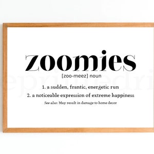 Zoomies Definition, Dog Decor, Cat Decor, Home Decor, Funny Pet ...