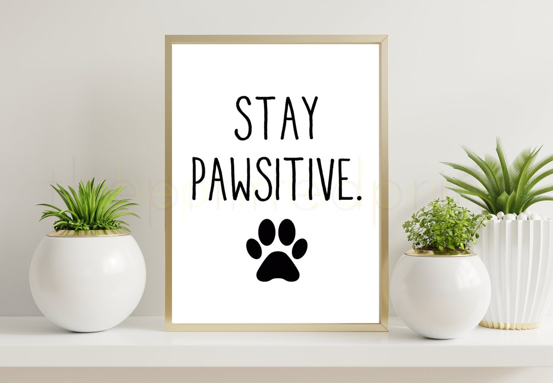 Stay Pawsitive, Pet Wall Decor, Motivational Print for Animal Lovers - Etsy