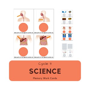 Science Memory Work Cards, Cycle 3 DIGITAL DOWNLOAD - Etsy