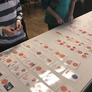 Science Memory Work Cards, Cycle 3 DIGITAL DOWNLOAD - Etsy