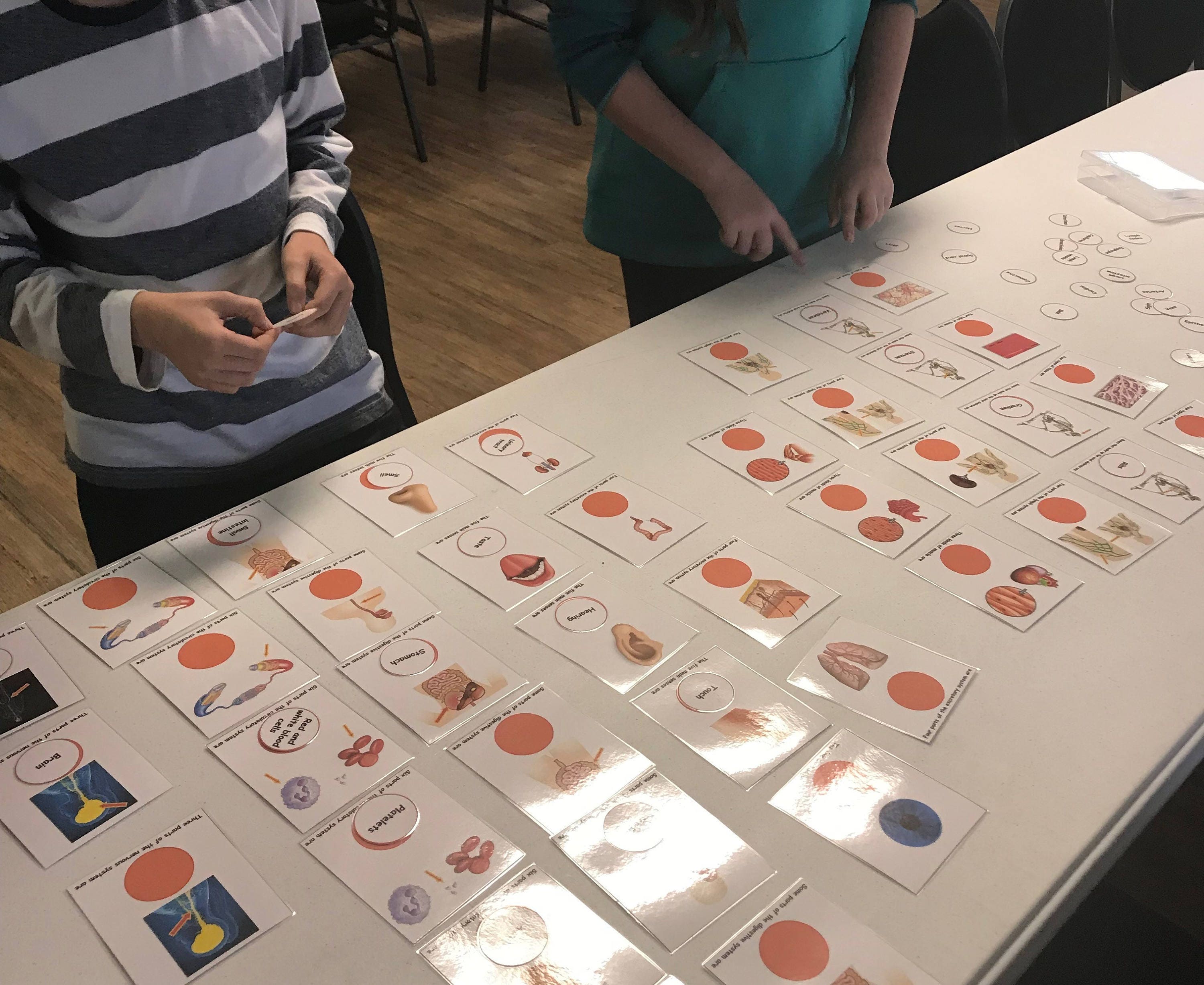 Science Memory Work Cards Cycle 3 DIGITAL DOWNLOAD - Etsy