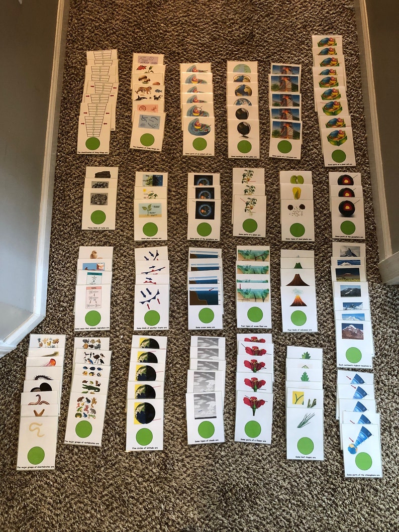 Science Memory Work Cards Cycle 1 | Etsy