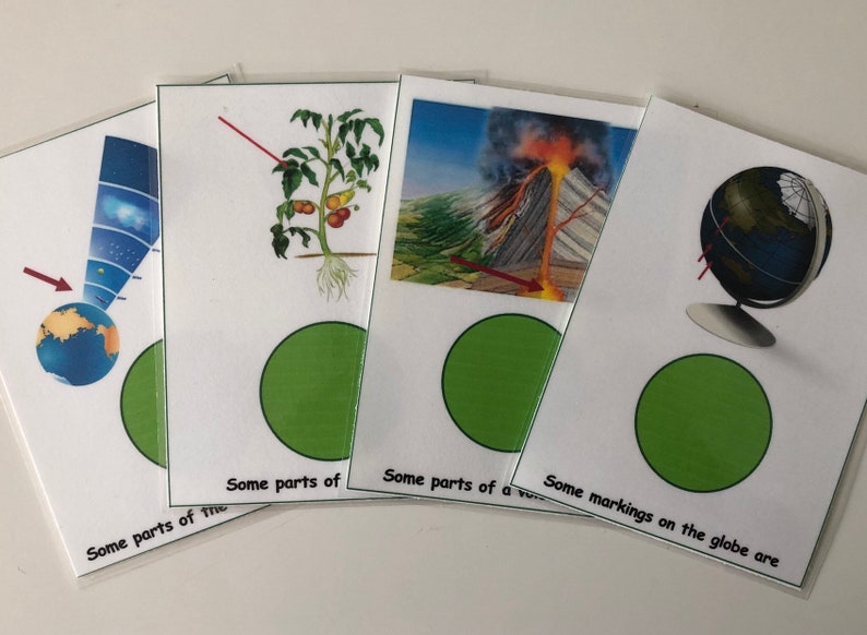 Science Memory Work Cards Cycle 1 DIGITAL DOWNLOAD - Etsy