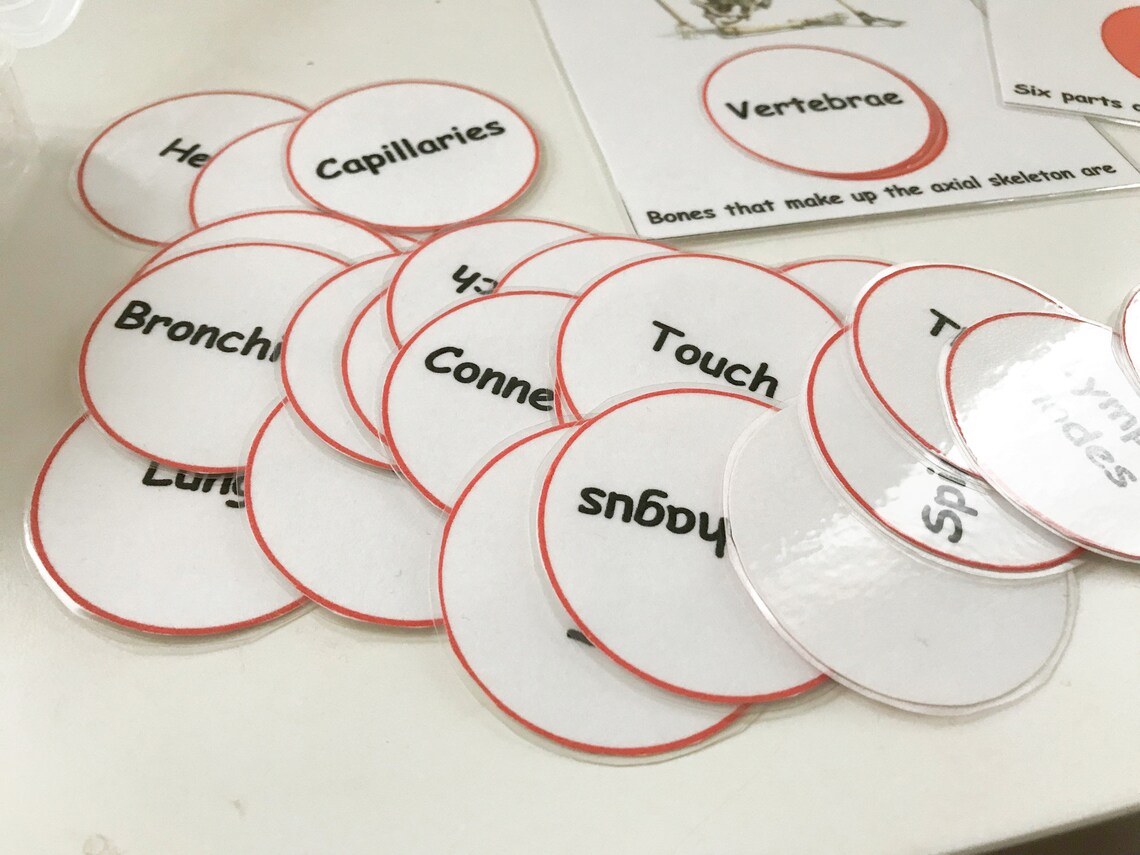 Science Memory Work Cards Cycle 3 DIGITAL DOWNLOAD | Etsy