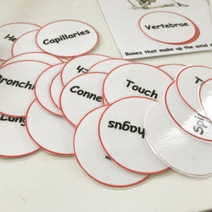 Science Memory Work Cards, Cycle 3 DIGITAL DOWNLOAD - Etsy