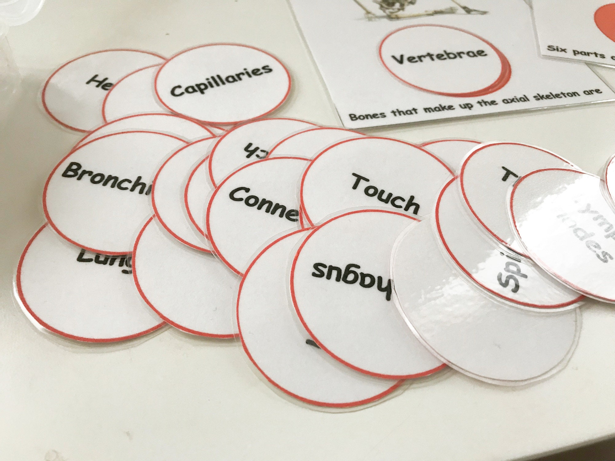 Science Memory Work Cards Cycle 3 DIGITAL DOWNLOAD - Etsy