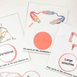 Science Memory Work Cards, Cycle 3 DIGITAL DOWNLOAD - Etsy