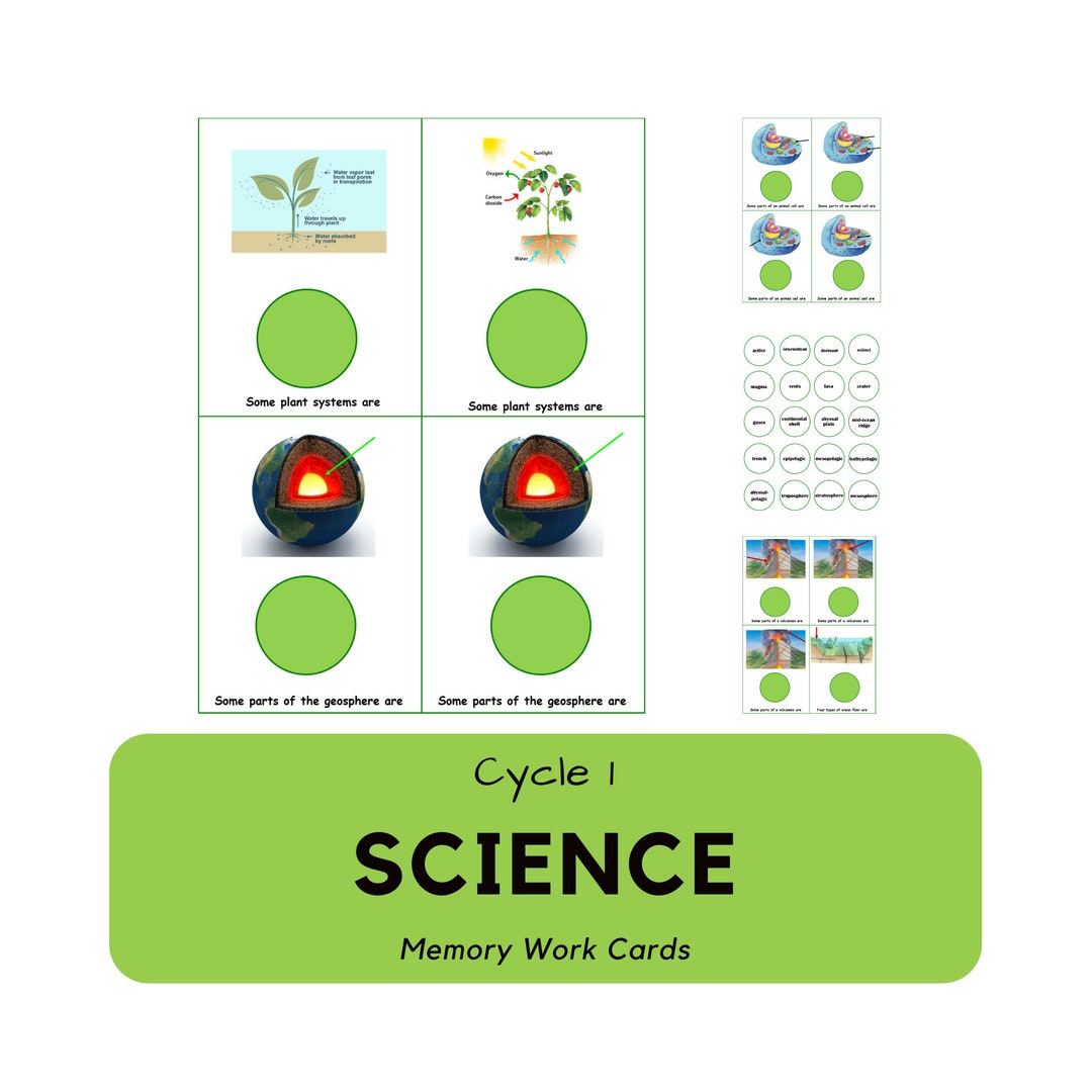 Science Memory Work Cards Cycle 1 DIGITAL DOWNLOAD - Etsy