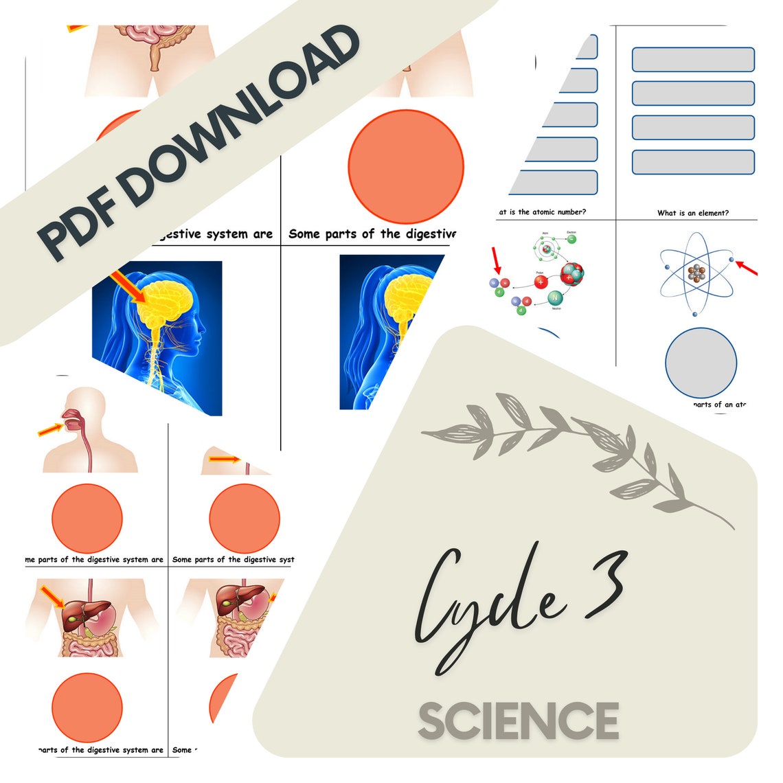 Science Memory Work Cards Cycle 3 DIGITAL DOWNLOAD - Etsy