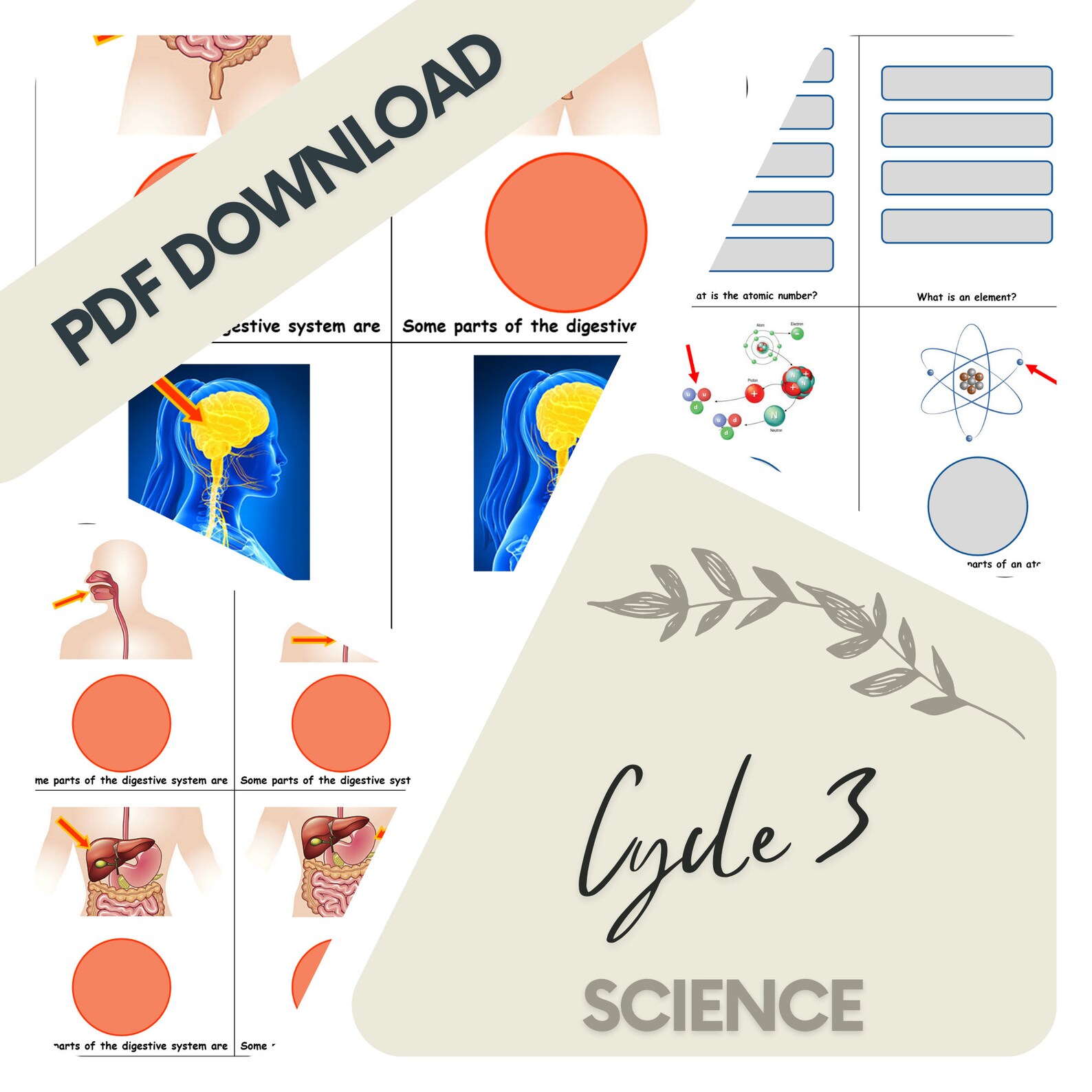 Science Memory Work Cards Cycle 3 DIGITAL DOWNLOAD - Etsy