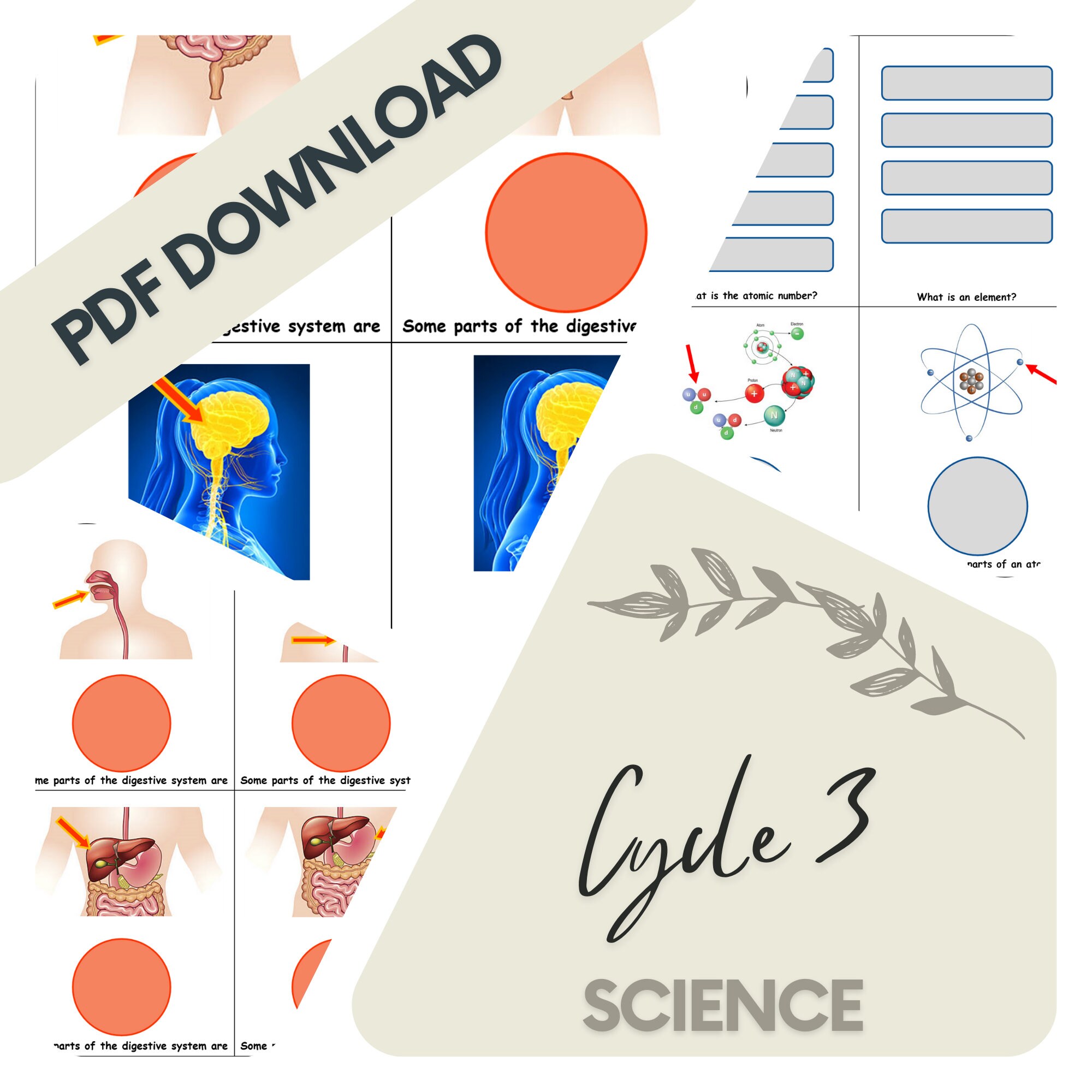 Science Memory Work Cards Cycle 3 DIGITAL DOWNLOAD - Etsy