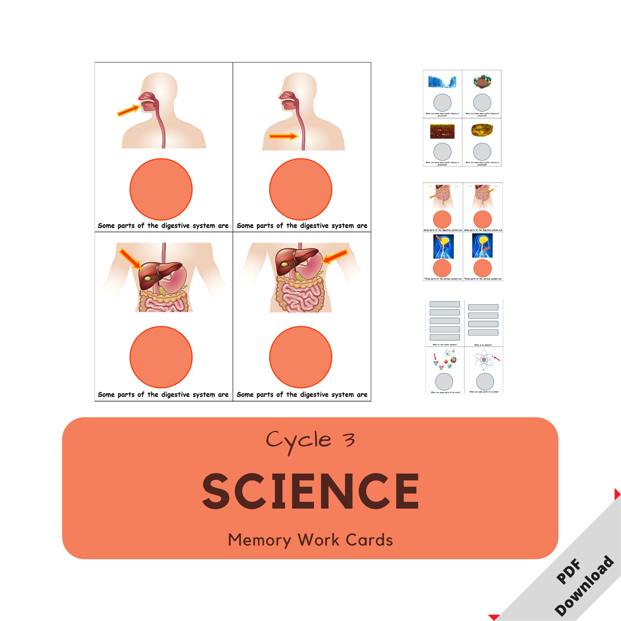Science Memory Work Cards Cycle 3 DIGITAL DOWNLOAD - Etsy
