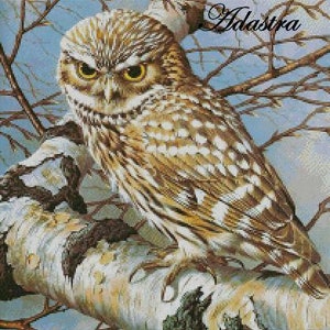 Counted Cross Stitch Pattern owl - Etsy