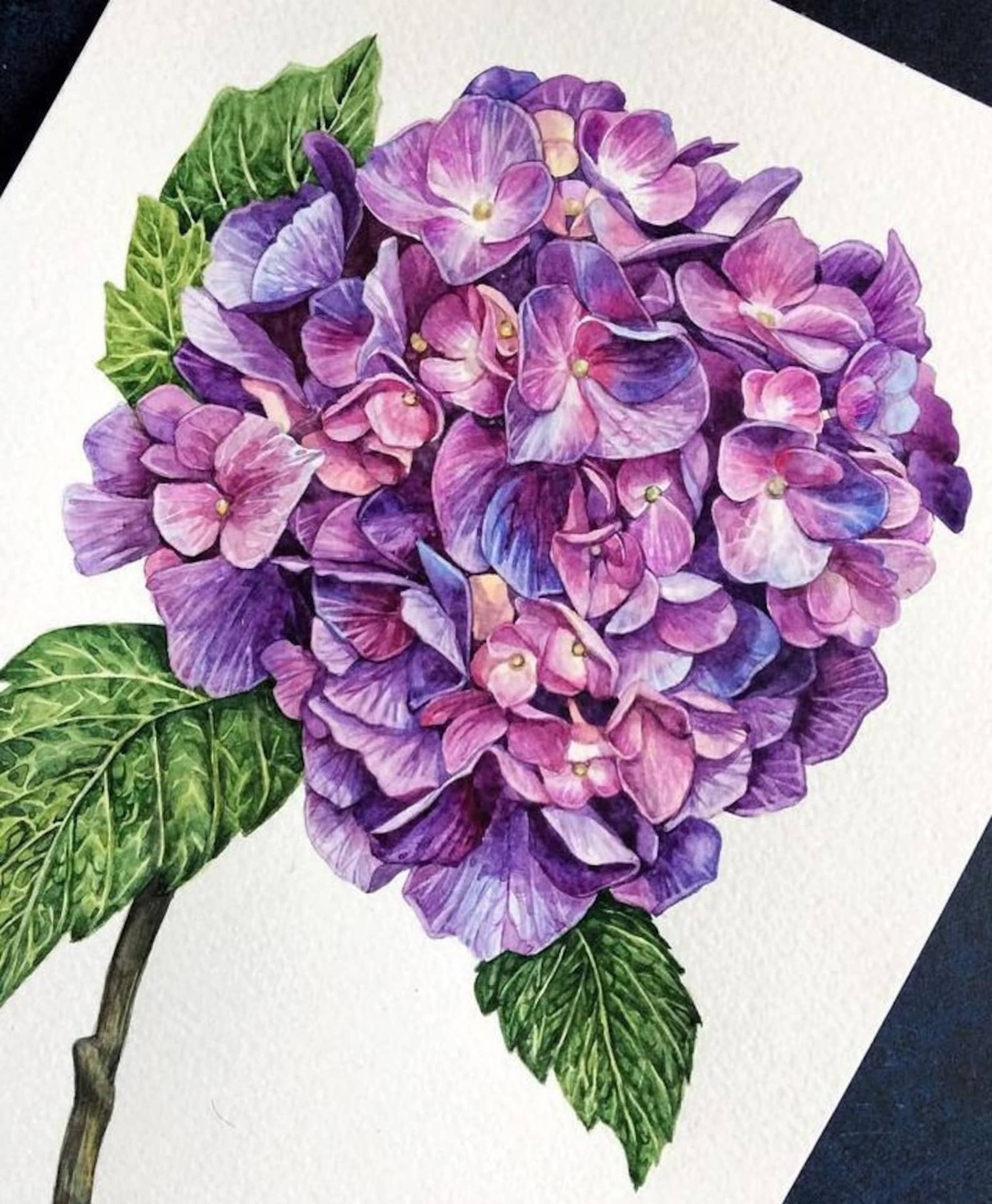 Counted Cross Stitch Pattern "hydrangea 76" - Etsy