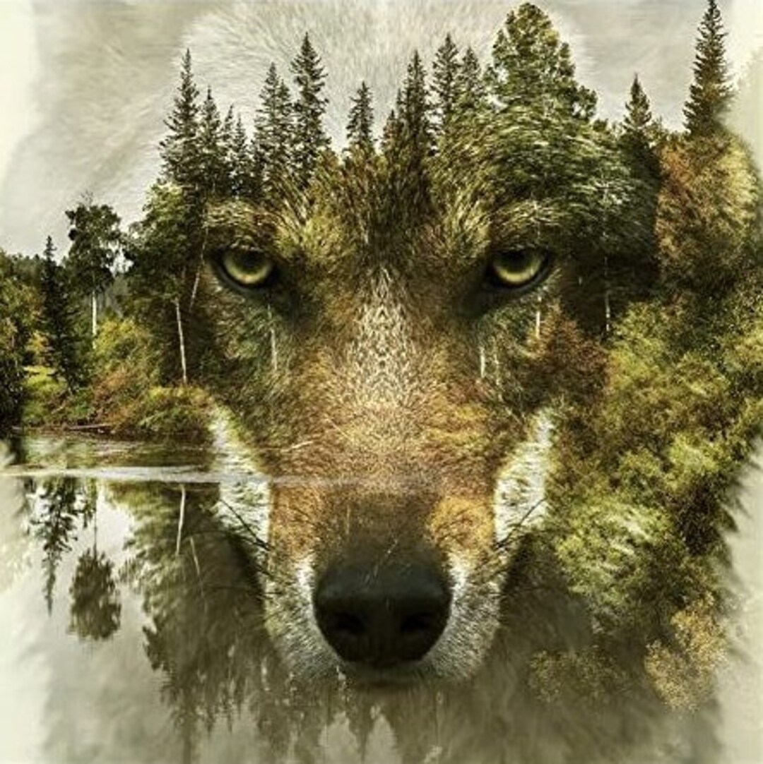 Counted Cross Stitch Pattern wolf - Etsy