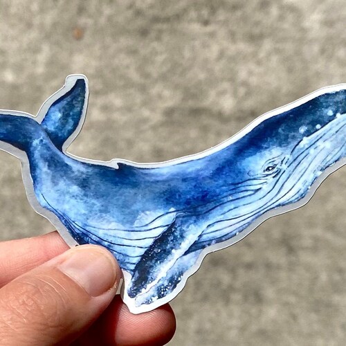 Humpback Whale Sticker Ocean Stickers 3 Inch Vinyl Blue - Etsy