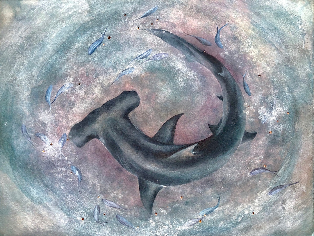 Hammerhead Shark Art Hand Painted in Hawaii - Etsy