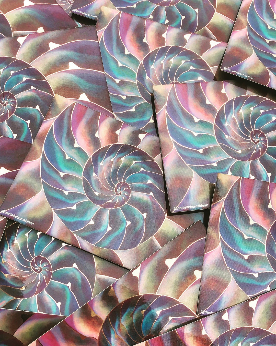 Spiral Nautilus Seashell Sticker - Etsy