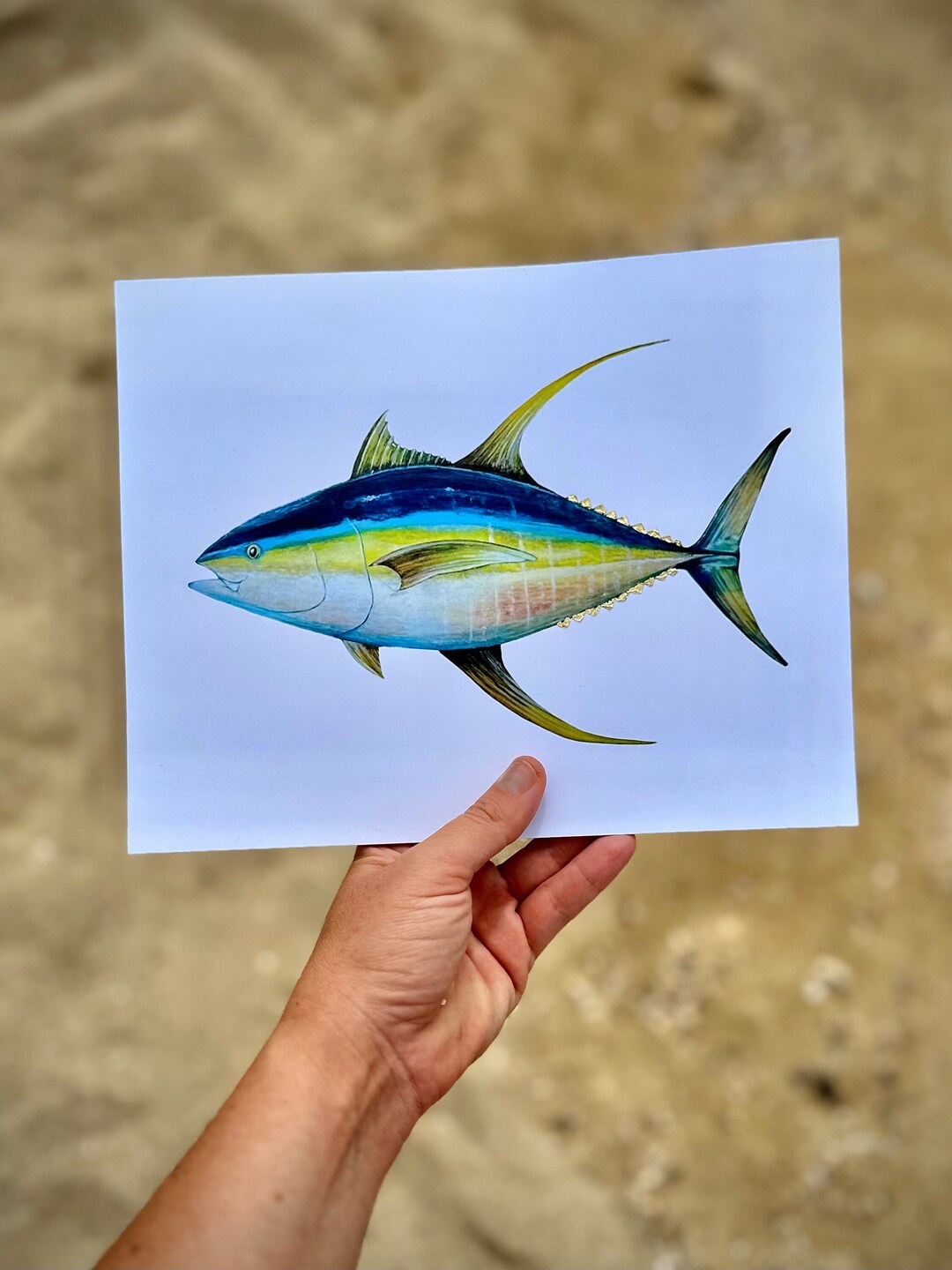 Yellow Fin Ahi Tuna Painted in Hawaii by Danielle Burnside Art - Etsy