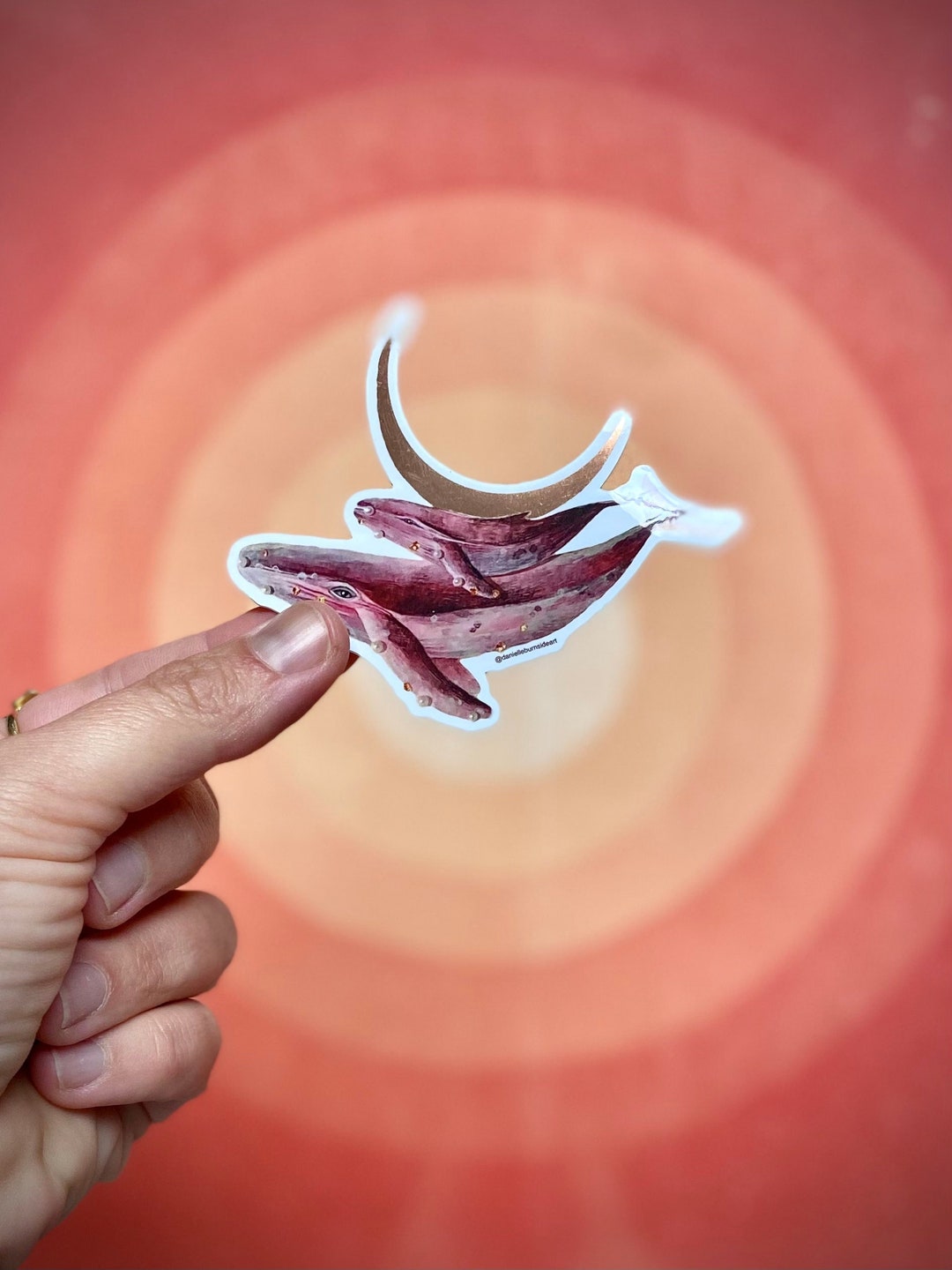 Pink Humpback Moon Sticker - Painted in Hawaii by Danielle Burnside Art - Etsy