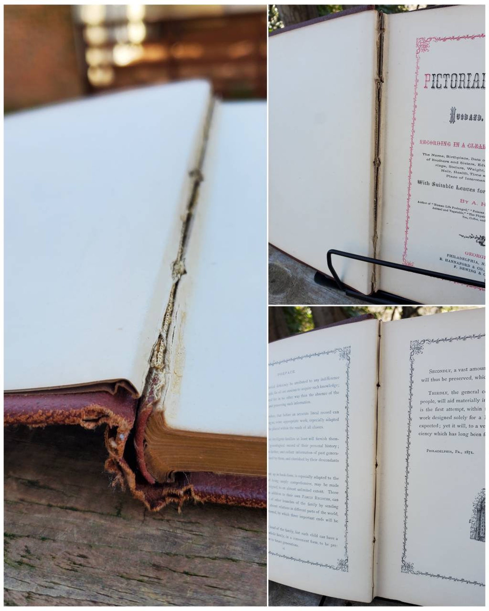 Antique 1871 A.H. Platt Pictorial Family Register Book - Etsy