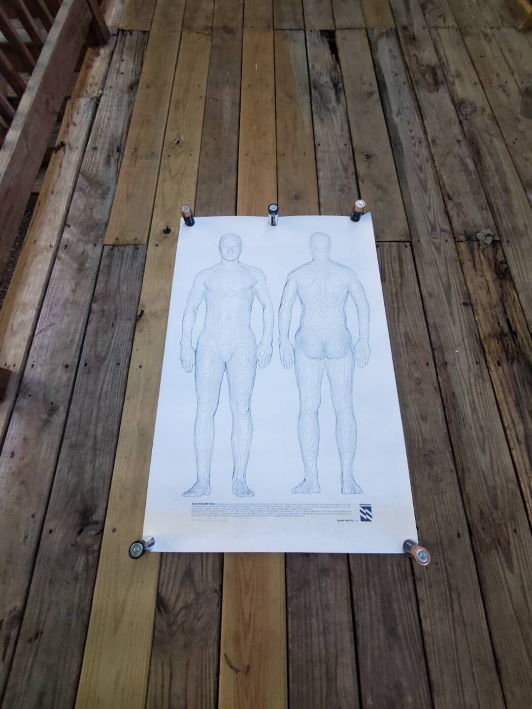 Vintage 1970s ER Squibb & Sons Biostereometrics Diagram Hospital Poster ...