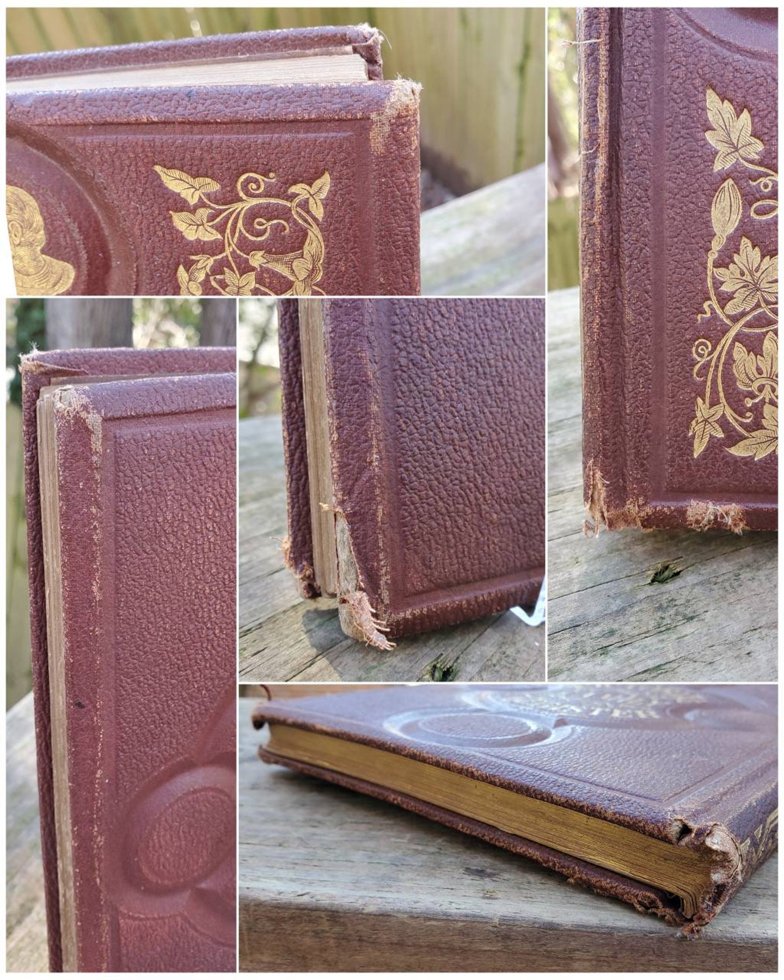 Antique 1871 A.H. Platt Pictorial Family Register Book - Etsy