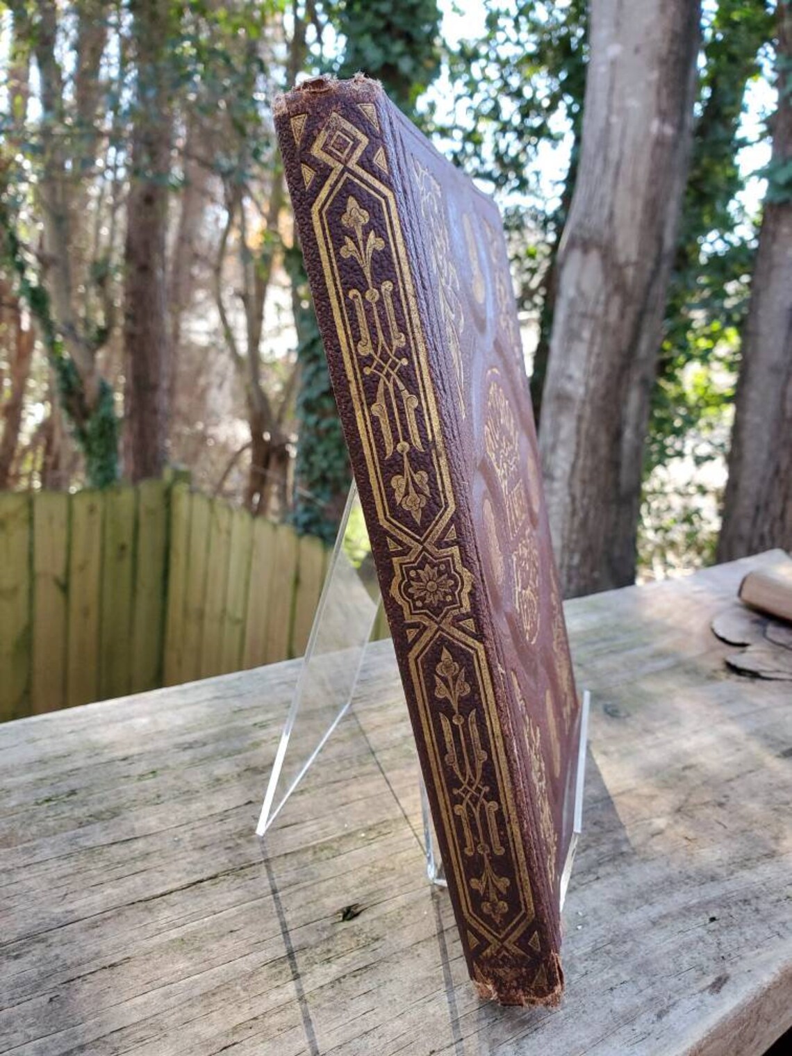 Antique 1871 A.H. Platt Pictorial Family Register Book - Etsy